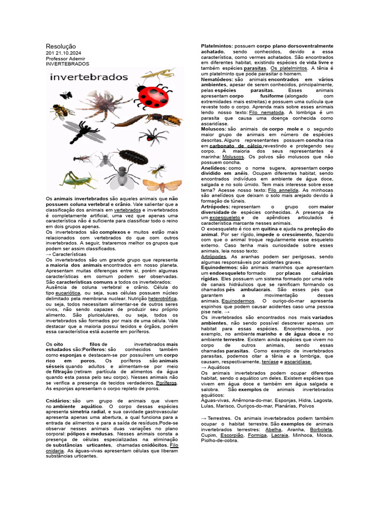 Características dos Animais Invertebrados | PDF | Moluscos | Esponja