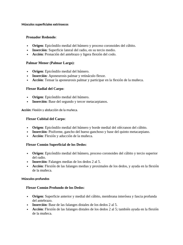 Músculos Superficiales Extrínsecos | PDF | Tejido suave | Articulaciones