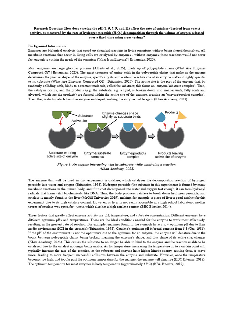IB HL Biology Practice IA Example (2025 Syllabus) | PDF | Substrate ...