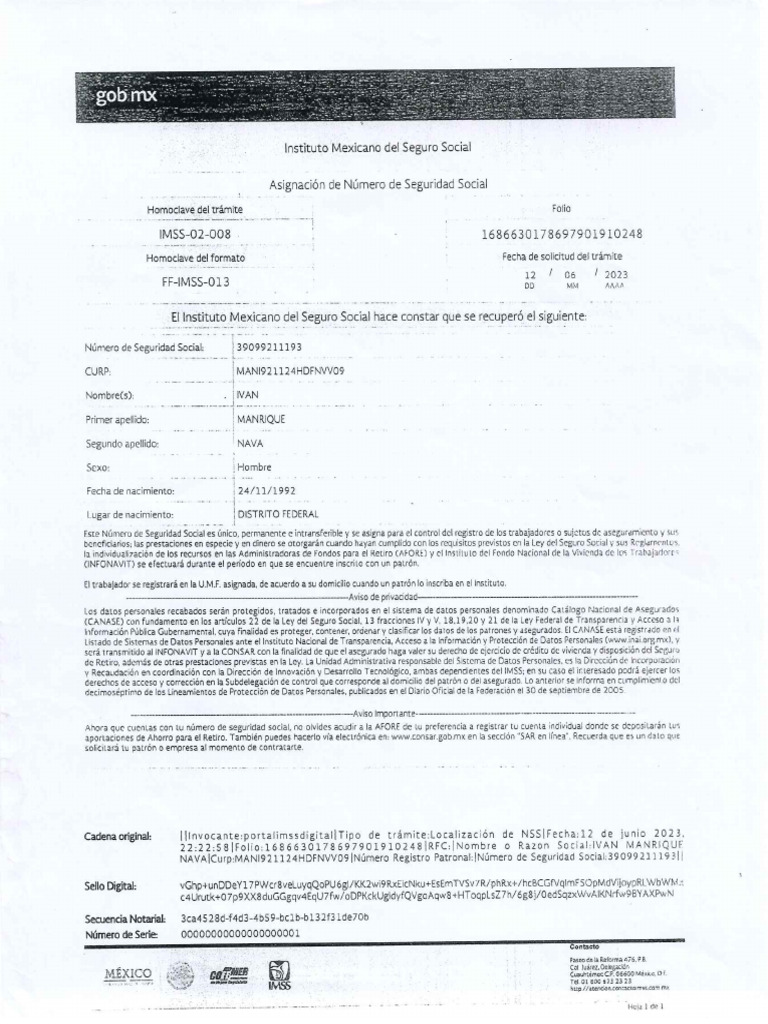 IMSS | PDF