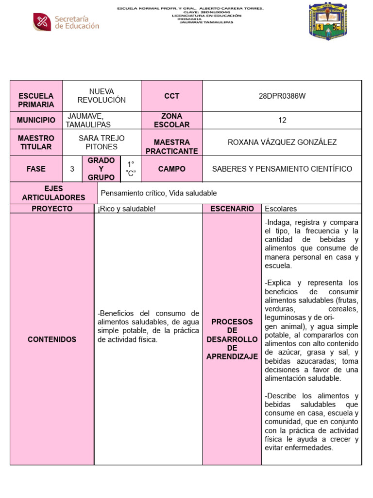 Sav | PDF | Alimentos | Experimentar