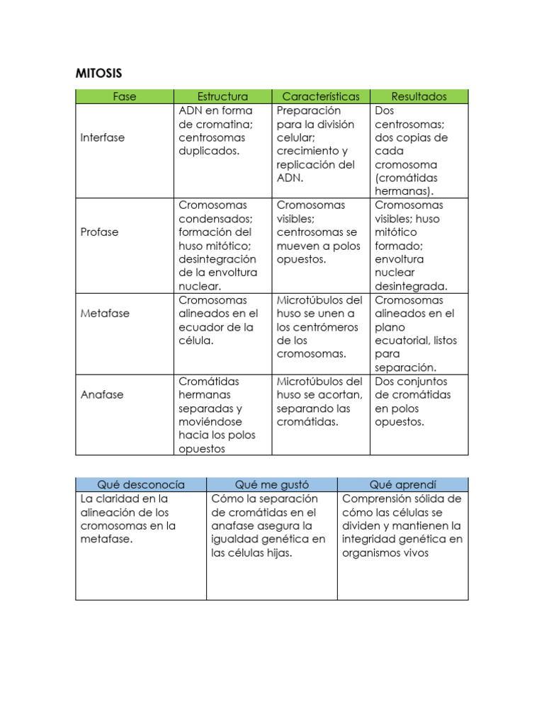 Hoja de Trabajo No. 1 División Celular | PDF | Mitosis | Mitosis