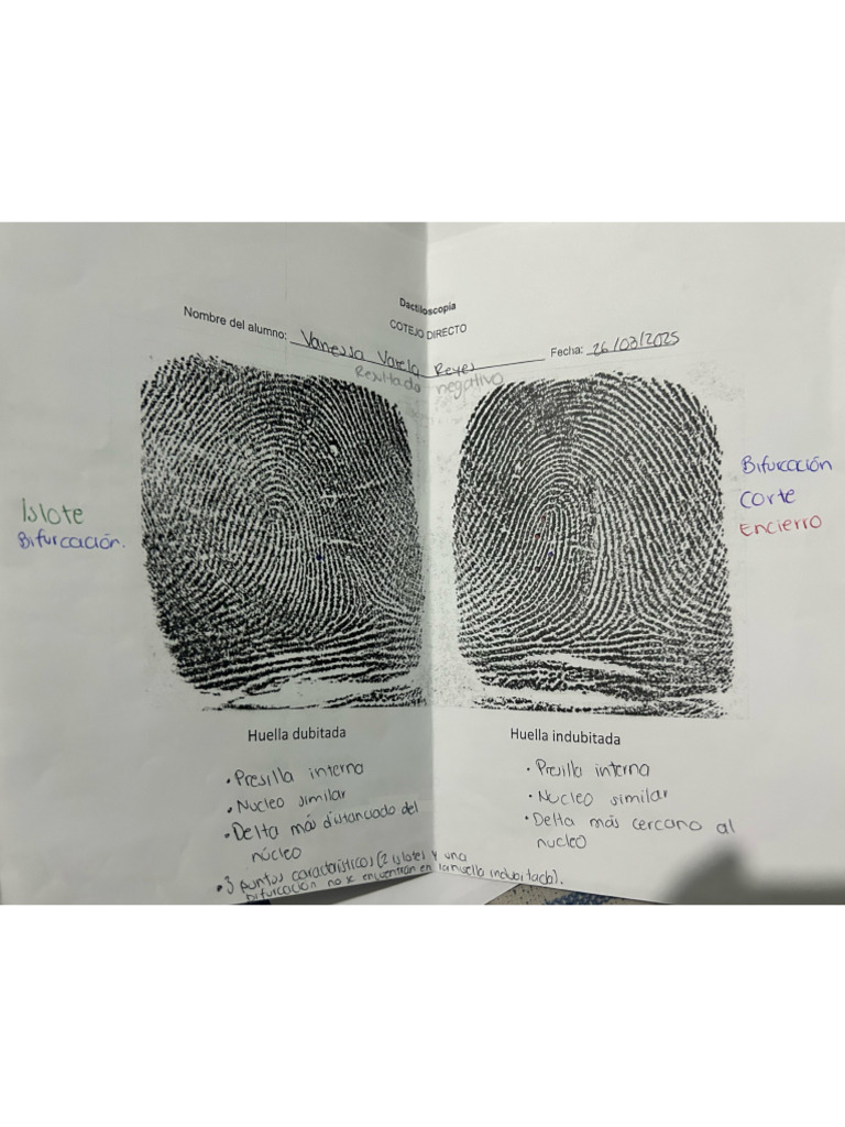 Ejercicios De Dactiloscopia 5 26 03 2025 Pdf