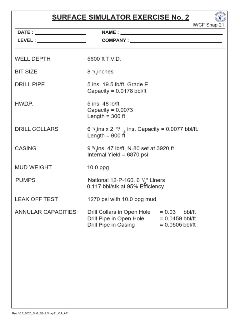 21 Surface Sim - Rev10.2 - 0122 - SIM - SEx2.Snap21 - QA - API | PDF | Casing (Borehole)