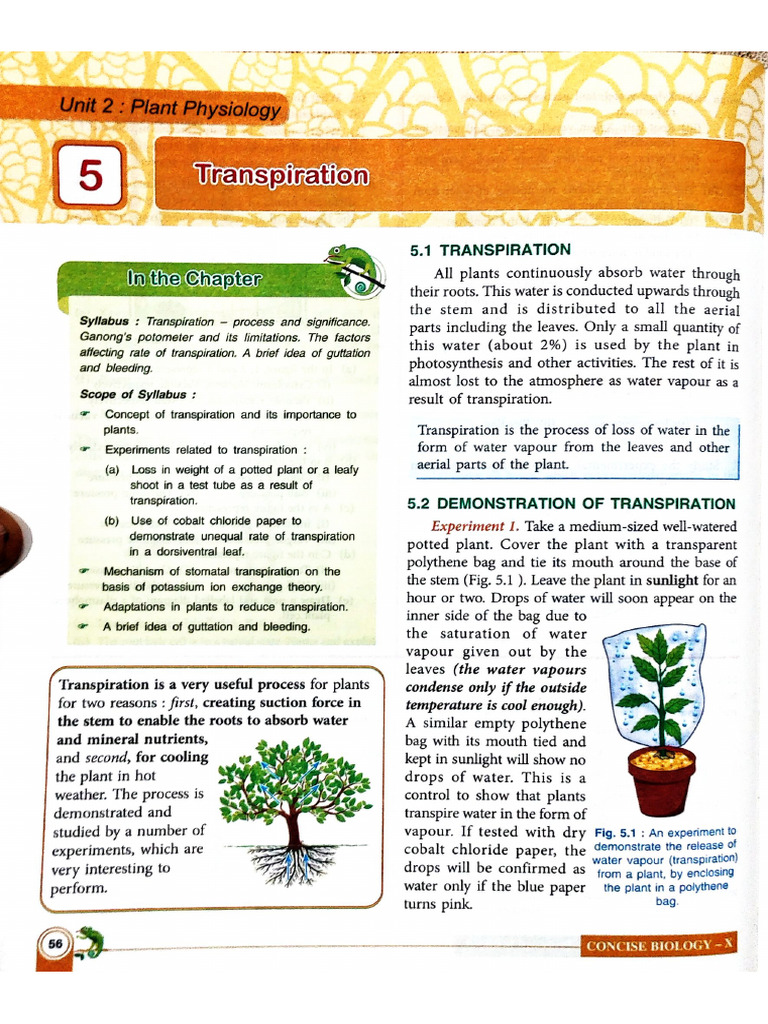 Transpiration - Selina Lesson | PDF