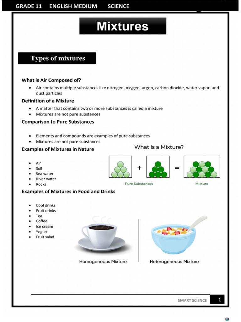 Grade 11 Science | PDF