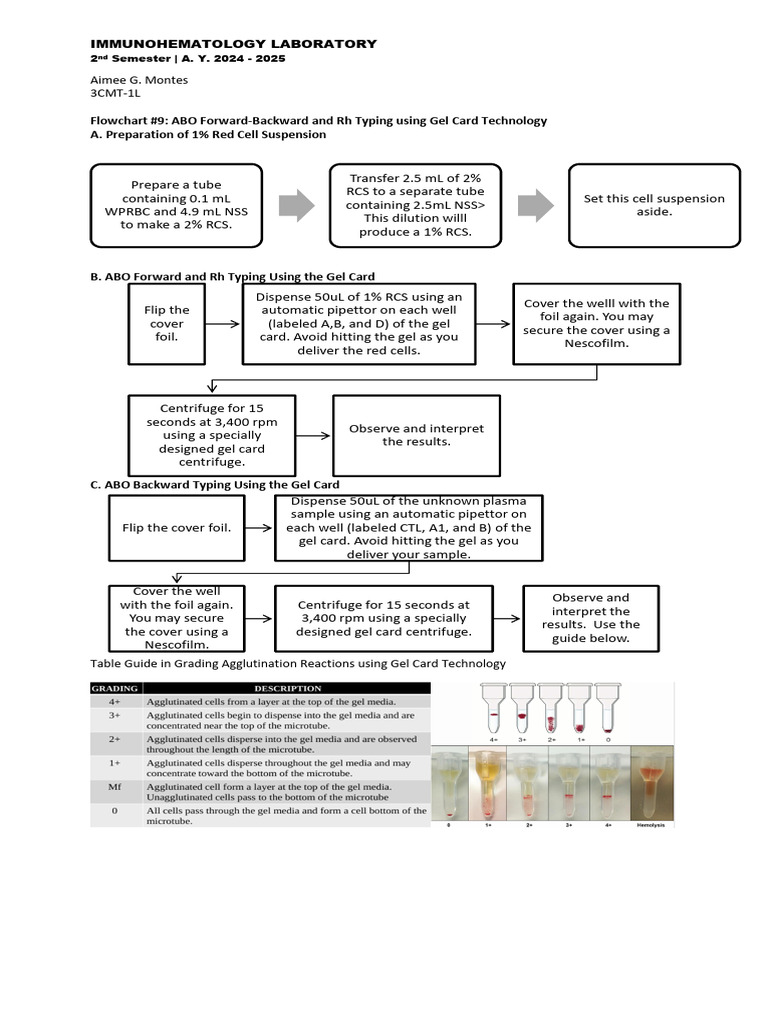 Montes - Flowchart - ABO Forward-Backward and RH Typing Using Gel Card ...