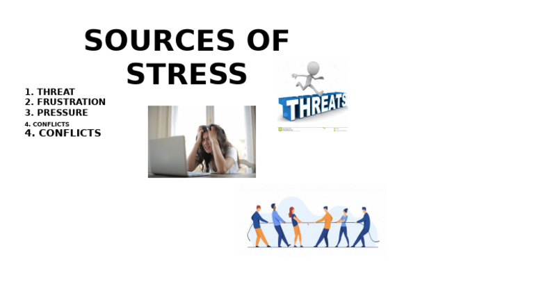 Sources of Stress | PDF