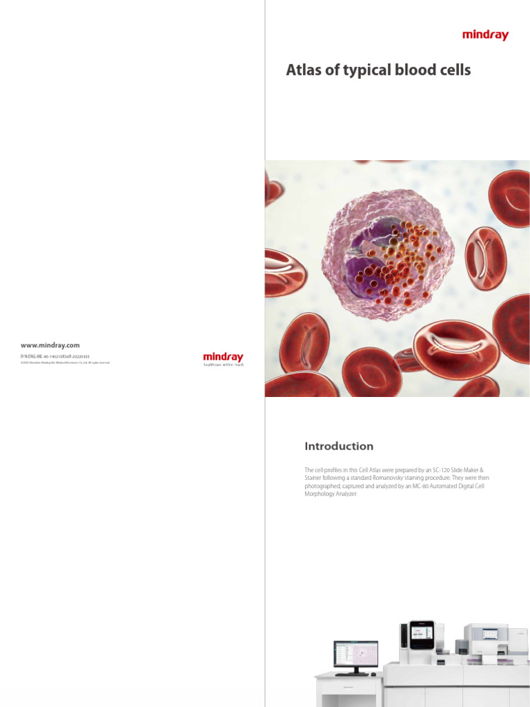 Typical Blood Cell Atlas en | PDF | White Blood Cell | Granulocyte
