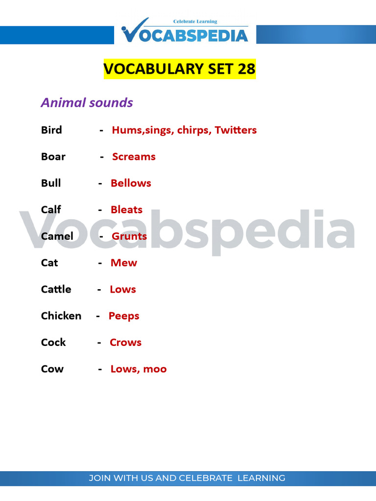 Vocabulary Set 28 | PDF