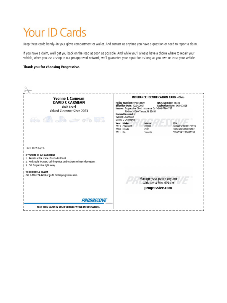 ID Cards For Auto Policy 975358849 | PDF | Automotive Industry | Car