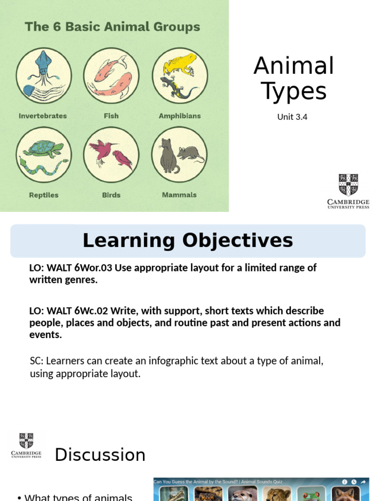 Unit 3.4 Animal Types | PDF | Amphibian | Reptile