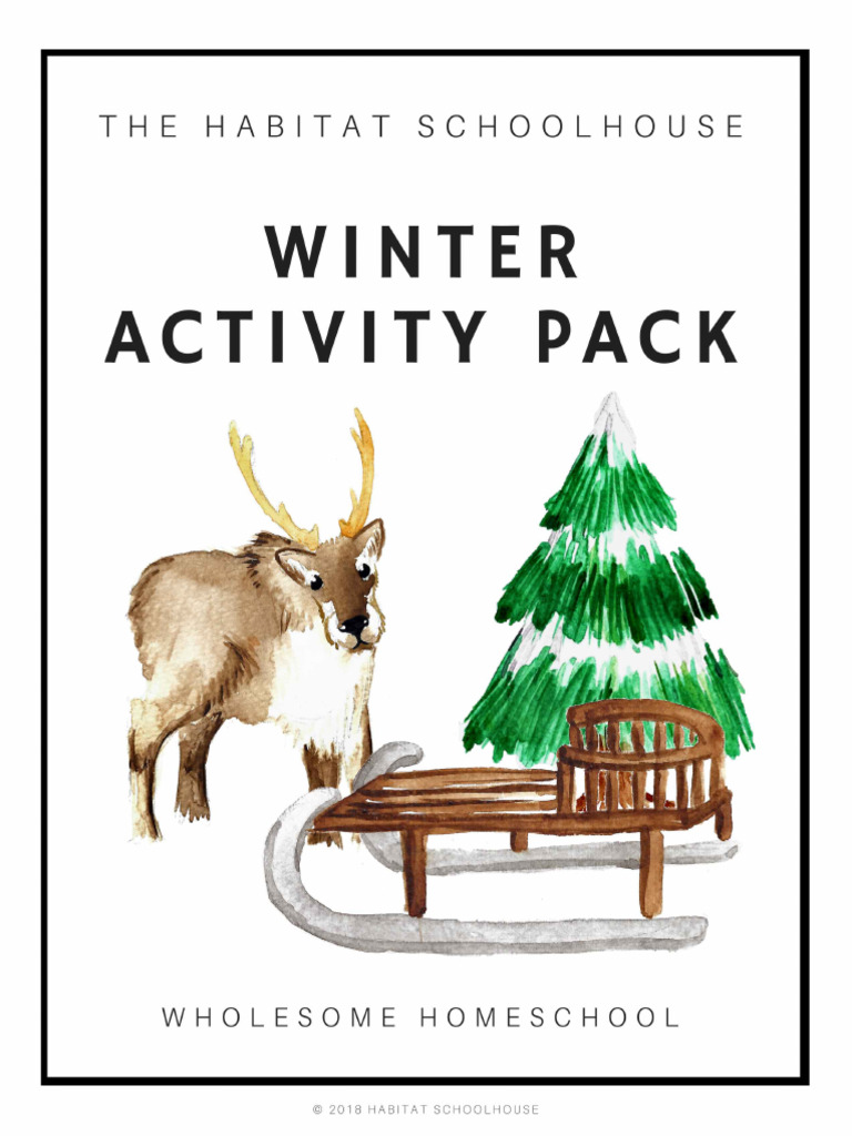 Winter Activity Workbook | PDF