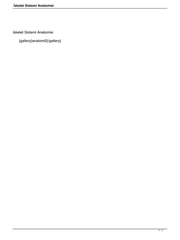 Iskelet Sistemi Anatomisi | PDF