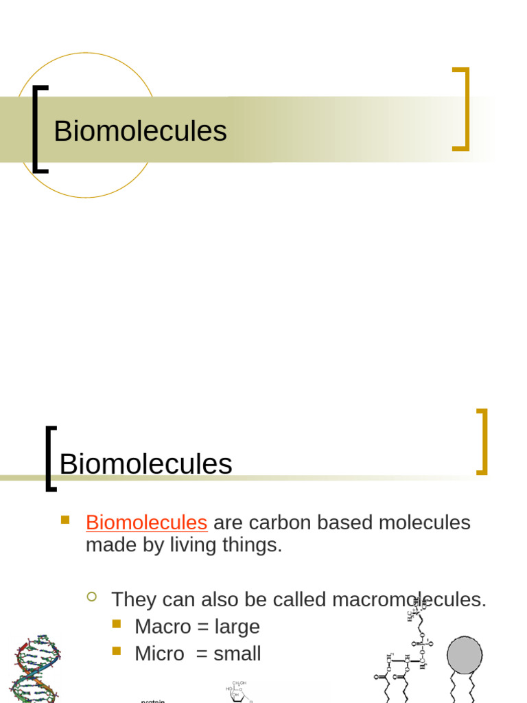 Biomolecules Notes1617 | PDF | Biomolecules | Carbohydrates