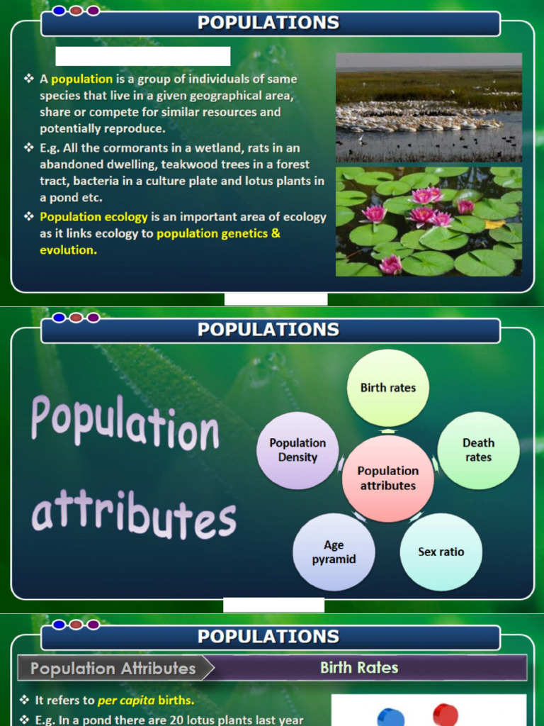 Population | PDF