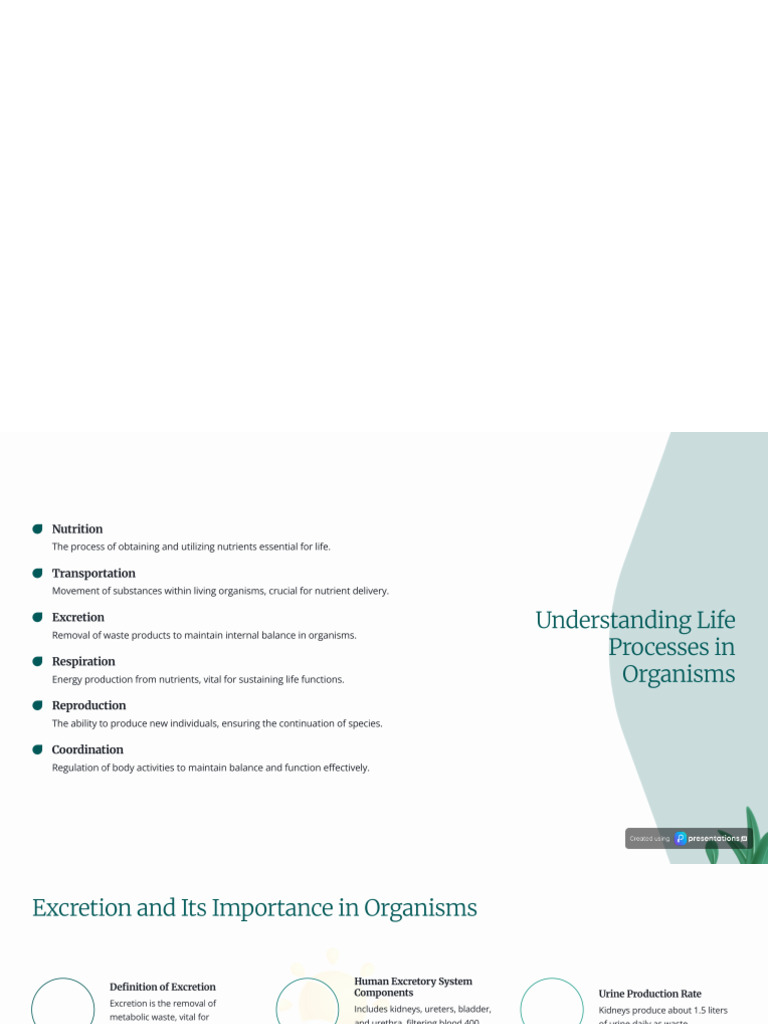 Life Processes in Living Organisms Presentation | PDF