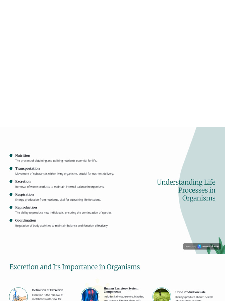 Life Processes in Living Organisms Presentation | PDF