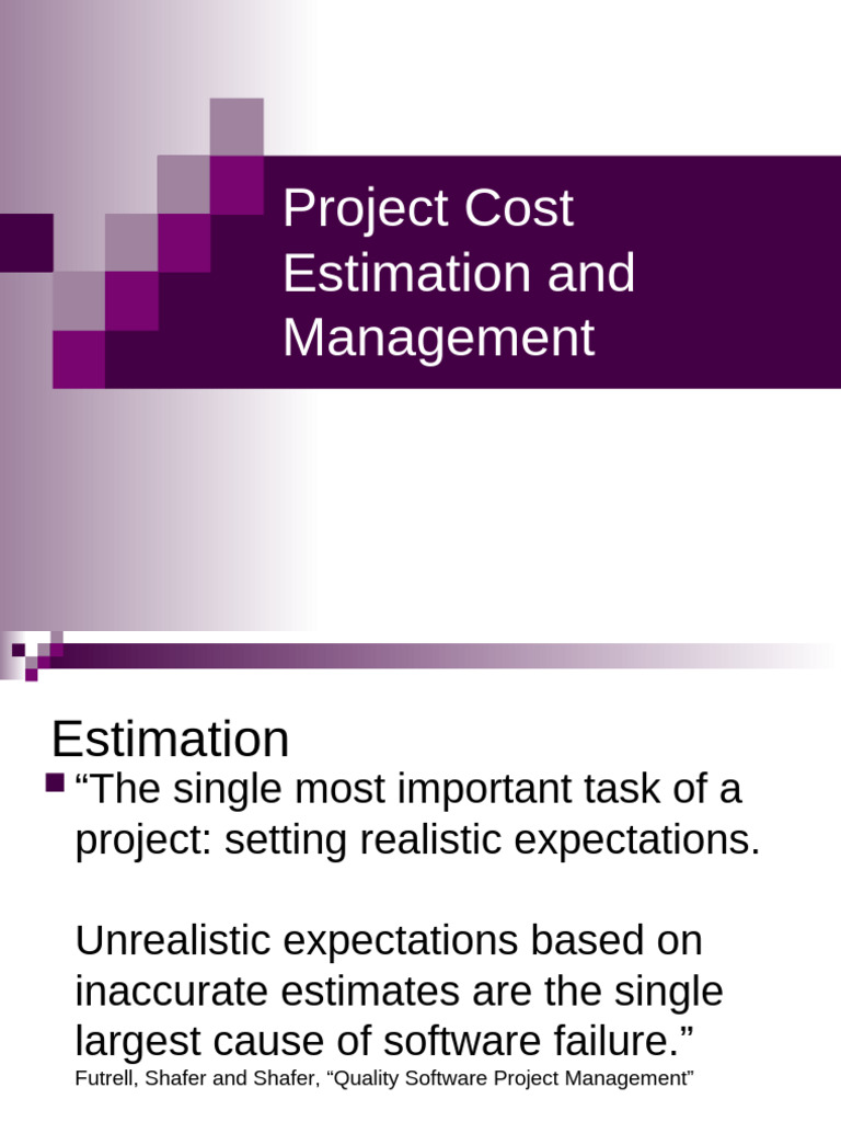 Project Cost Estimation and Management | PDF | Computing | Business