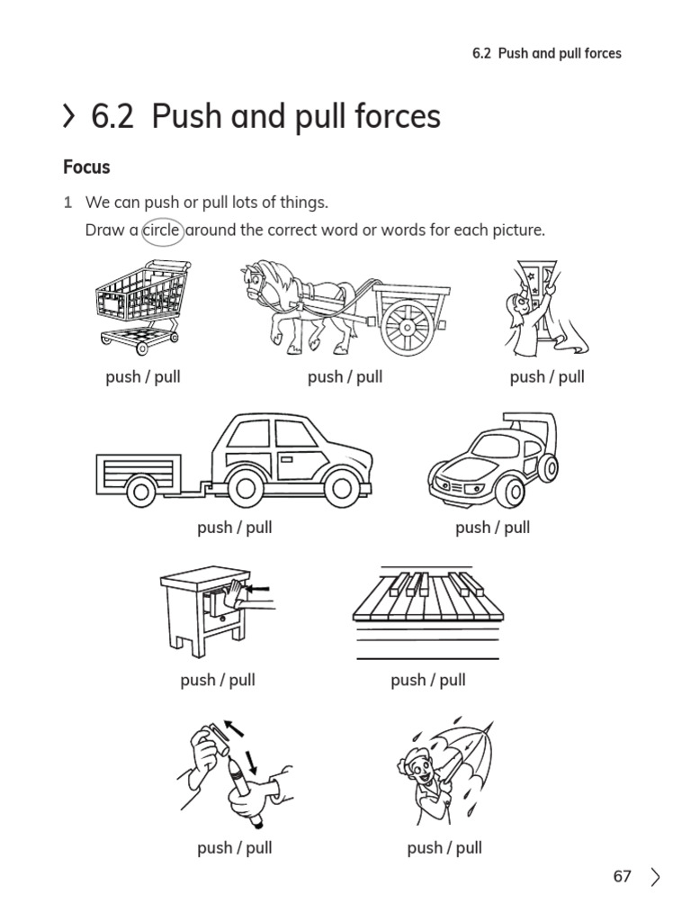 Science_Workbook_Push Pull_Magnet | PDF | Magnetism | Physical Phenomena