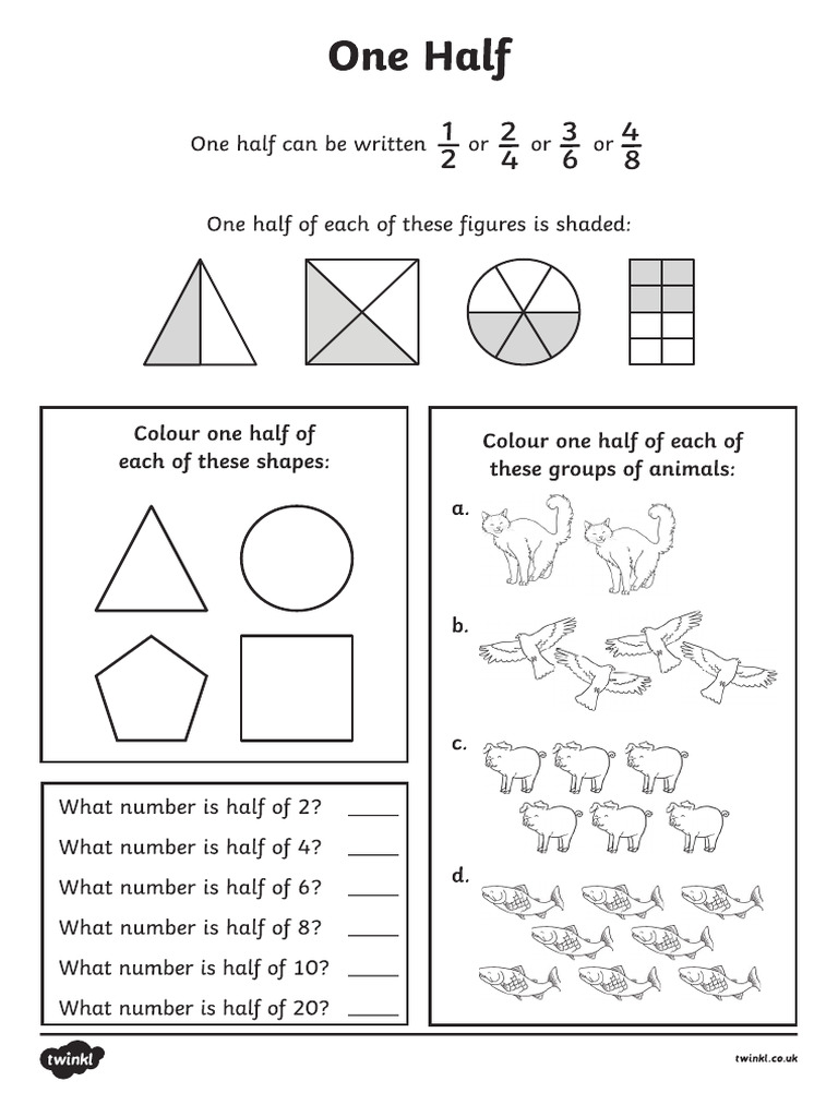 T N 1416 Fractions Halves Worksheet - Ver - 2 | PDF