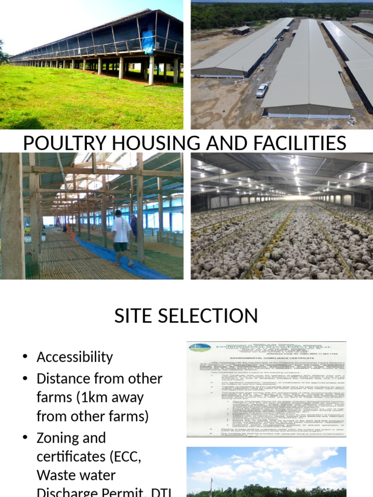 Poultry Housing and Facilities | PDF | Poultry Farming | Poultry