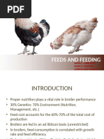 45-Day Broiler Chicken Feeding Guide | PDF | Broiler | Water