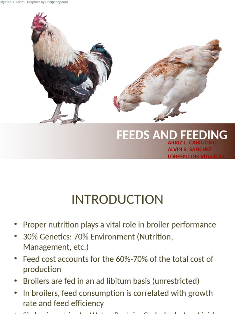 Feeds and Feeding Broilers | PDF | Nutrition | Diet & Nutrition