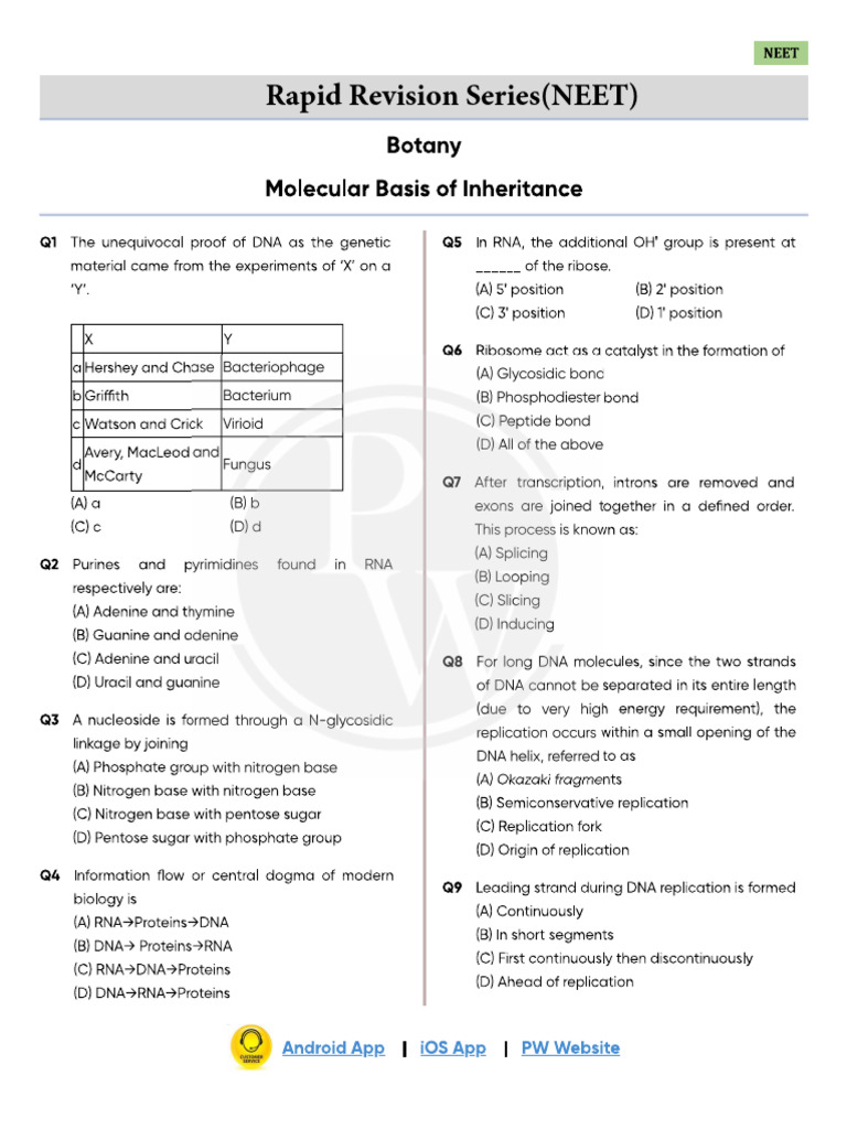 Molecular Basis of Inheritance - DPPs - Rapid Revision | PDF