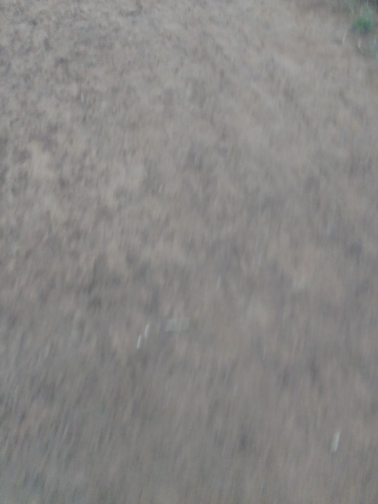 Scanned 20250327 183703 | PDF