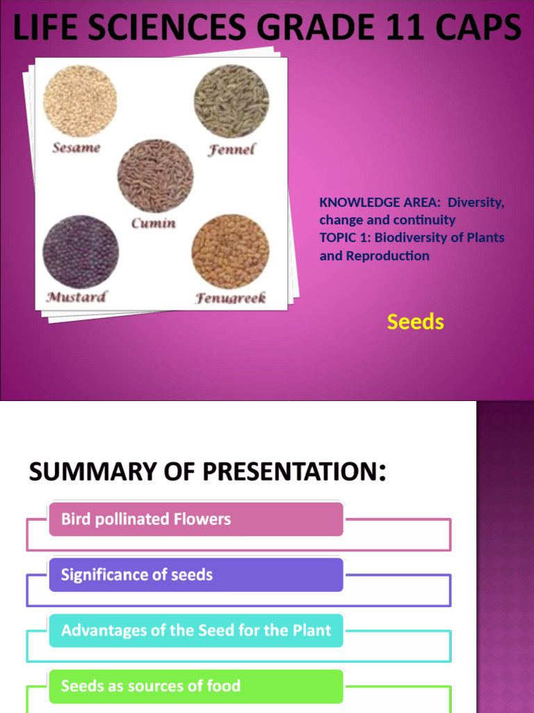 PP11 - Seeds - 1453879435 2 | PDF | Seed | Flowers
