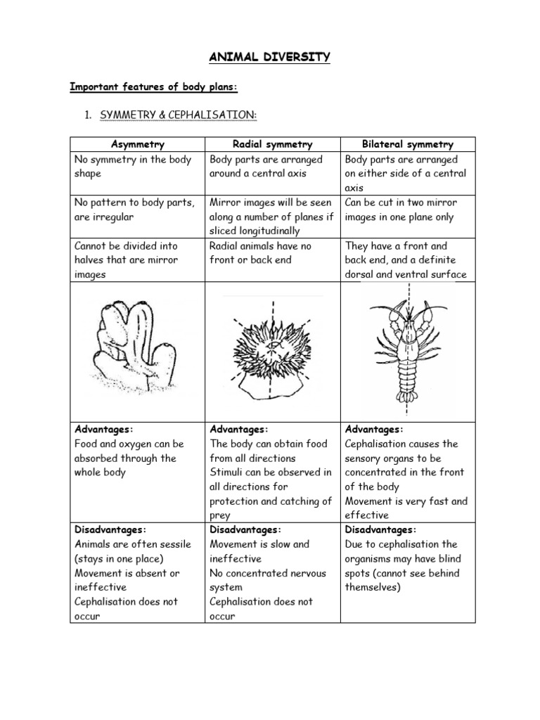 9588Gr 11 LS Animal Diversity | PDF | Anatomy | Zoology
