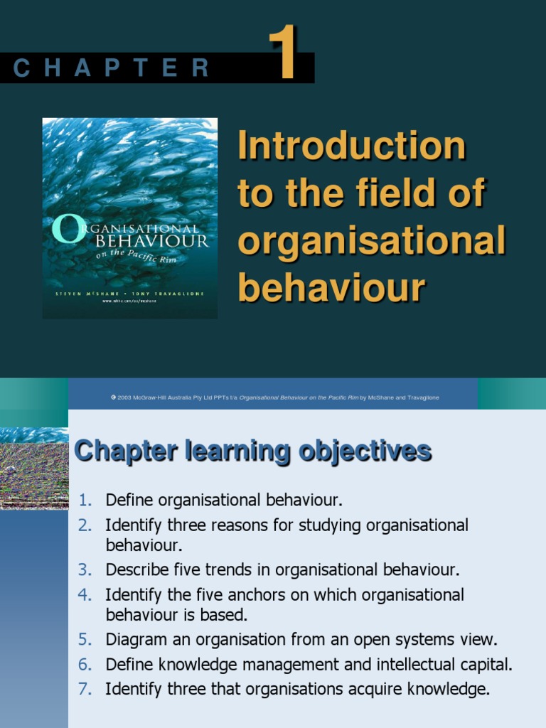 OB ch01 | PDF | Organizational Behavior | Telecommuting