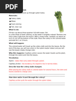 Celery Experiment - Xylem and Phloem - 0 | PDF | Plants | Botany