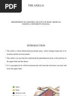 Triangular Space - Borders - Contents - TeachMeAnatomy | PDF