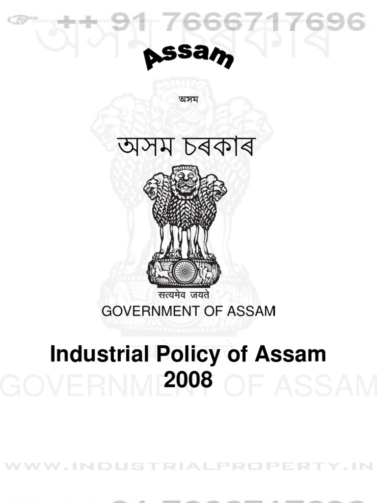 Assam Industrial Policy 2008 | PDF | Economic Development | Coal