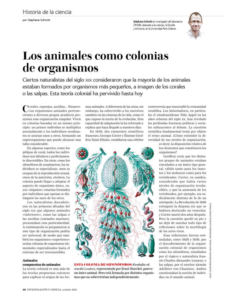 Schmitt Los Animales Como Colonias de Organismos | PDF | Evolución | Teoría