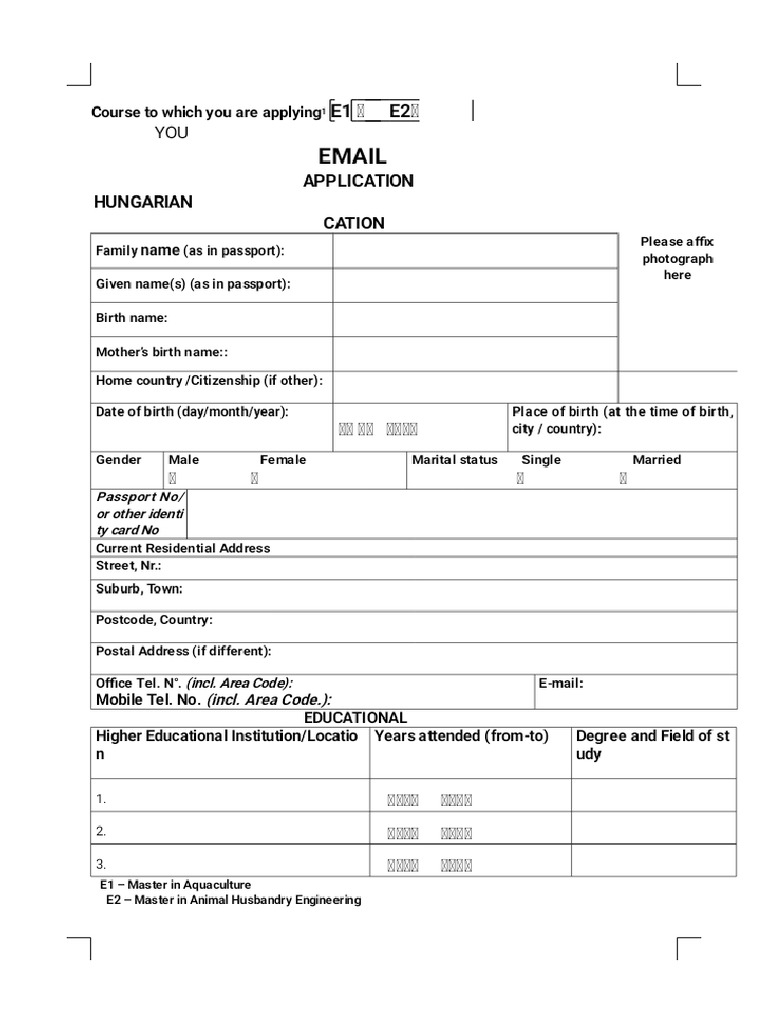 2025 Applicationform en - Phoenix | PDF