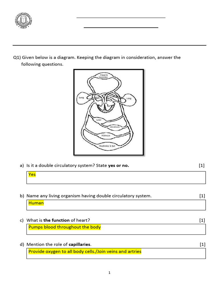 SCIENCE CLASSWORK 1 Mark Scheme | PDF | Circulatory System | Breathing