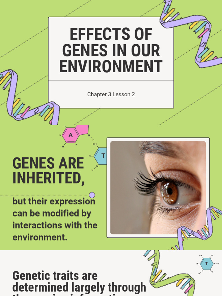 Effects of Genes in Our Environment | PDF | Gene | Genetics