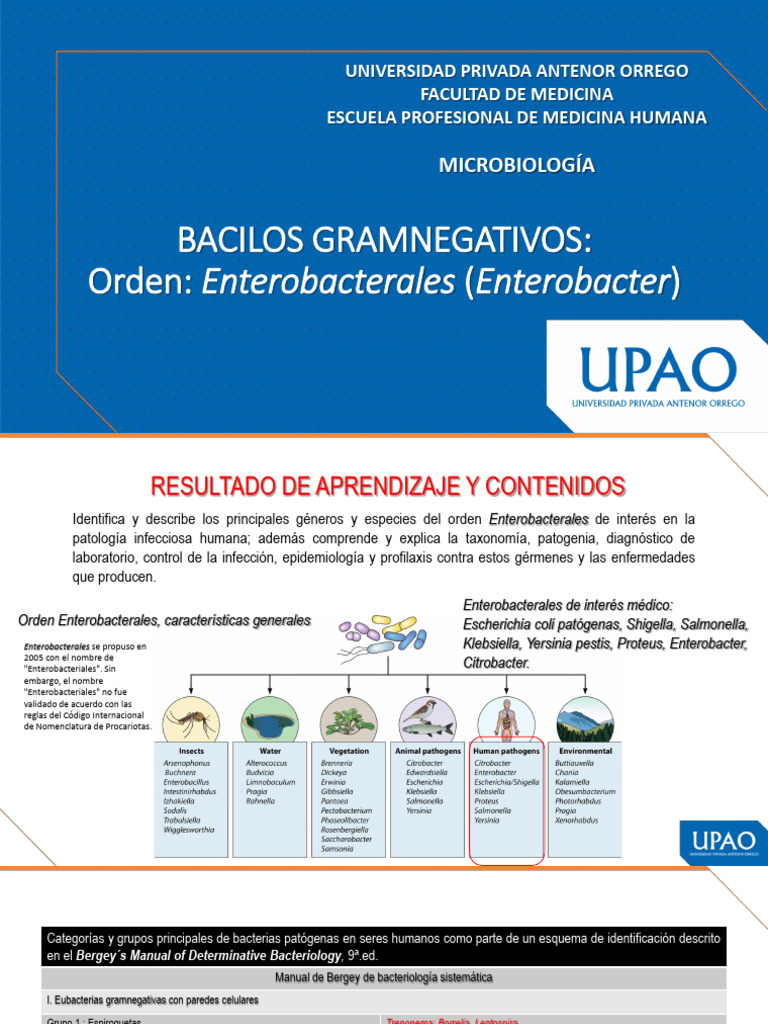 Características del Orden Enterobacterales | PDF | Escherichia coli ...