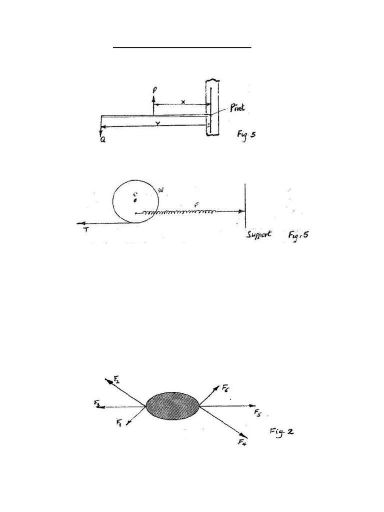 Turning Effect of Forces in Physics | PDF | Force | Weight