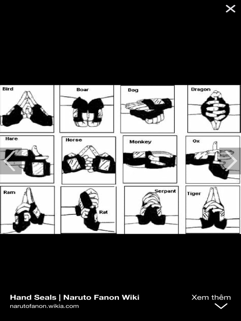 Hand Seals Naruto Fanon Wikinnrnr | PDF