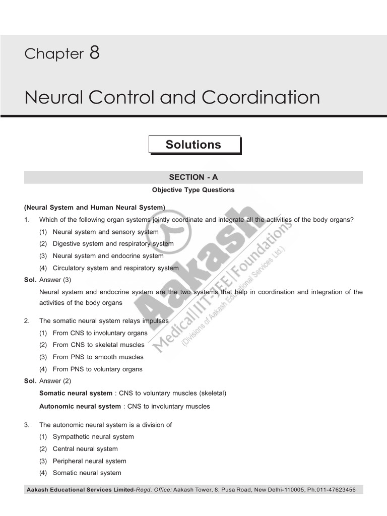 Nervous System | PDF | Neuron | Synapse