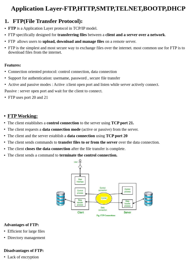 Application Layer Prtocols | PDF | File Transfer Protocol | Ip Address