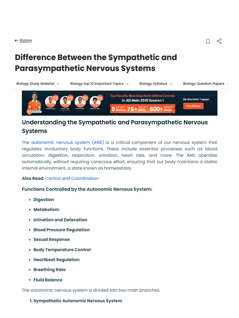 Sympathetic vs Parasympathetic Systems | PDF | Autonomic Nervous System ...