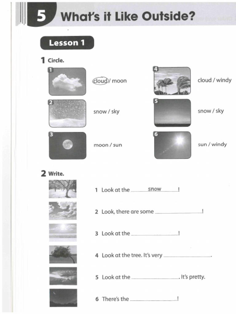 WONDER World | PDF