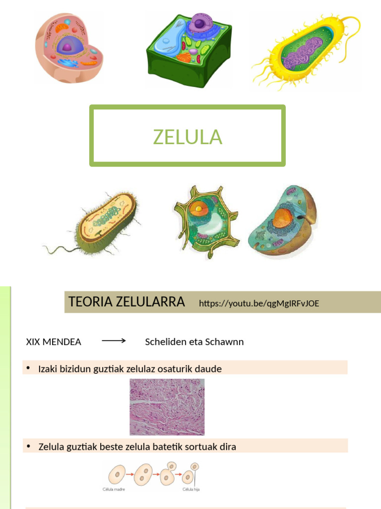 6. Gaia. Zelula | PDF