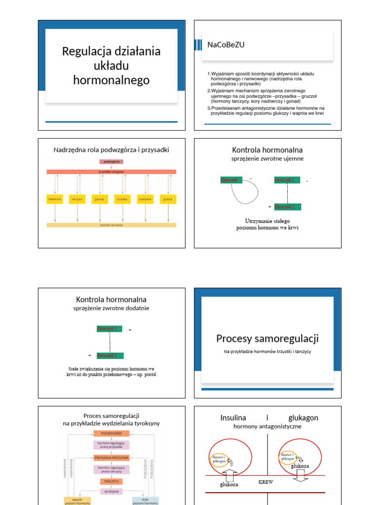 Układ Dokrewny PP - cz2 Slajdy | PDF