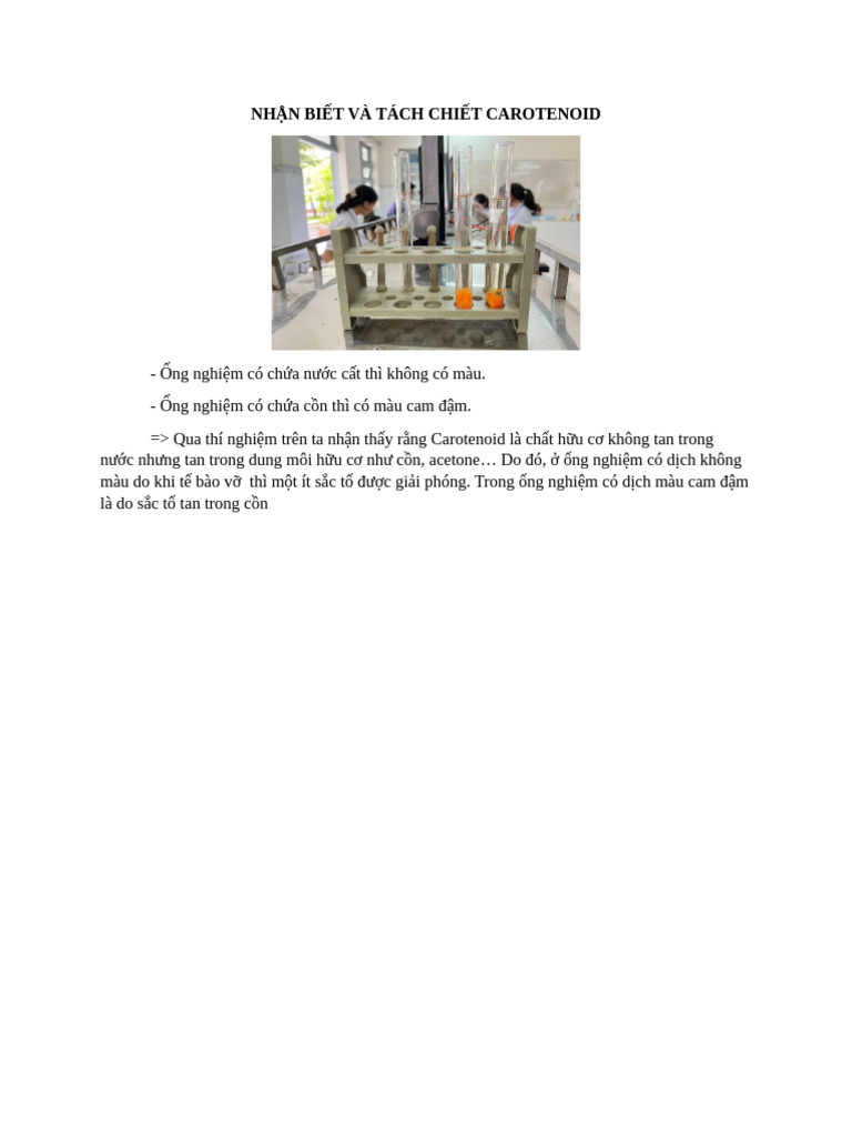 NHẬN BIẾT VÀ TÁCH CHIẾT CAROTENOID | PDF